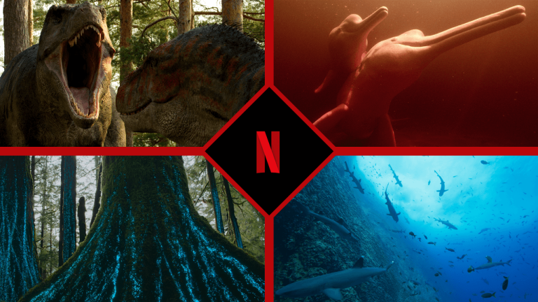 Nature Documentaries Coming to Netflix in 2023 and Beyond ...