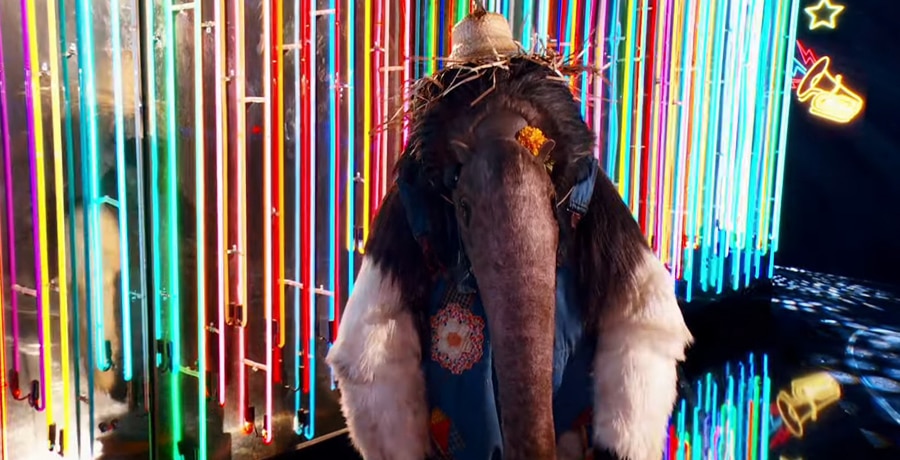 ‘The Masked Singer’: Who Is Anteater, All The Clues And Hints ...